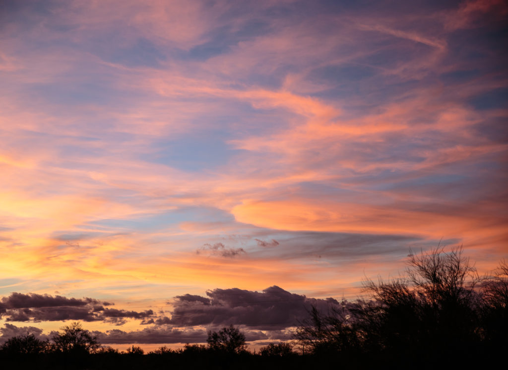 Business Photographer in Tucson Arizona | Professional Photographer Tips